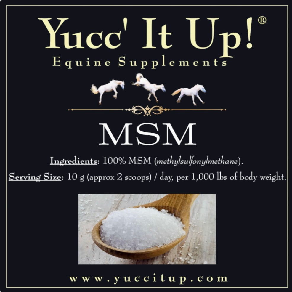 MSM – Yucc' It Up! Equine Supplements