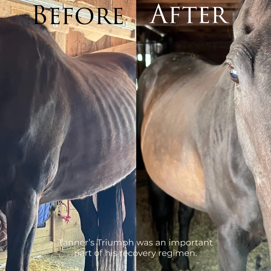 Tanner's Triumph (Joints | Digestion | Heart | Calming) – Yucc' It Up ...